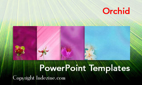 Orchid PowerPoint Templates