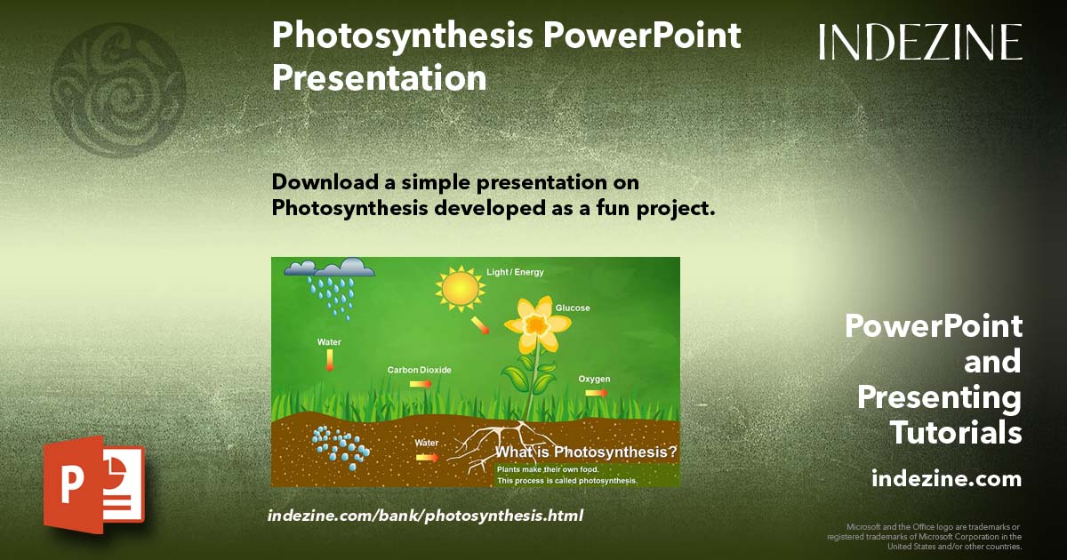 Photosynthesis PowerPoint Presentation