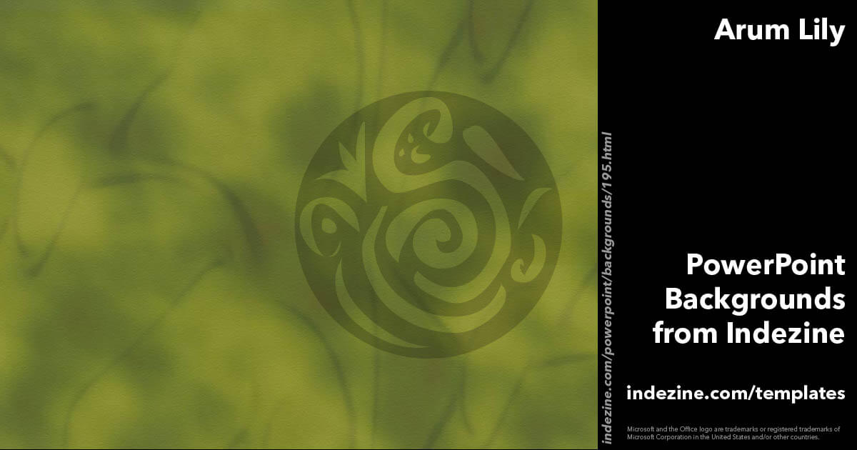 Arum Lily PowerPoint Background