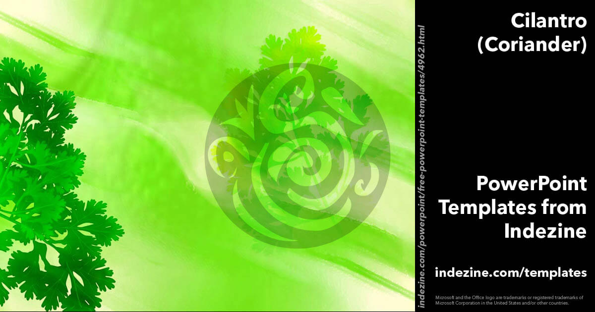 Cilantro (Coriander) 03 PowerPoint Template