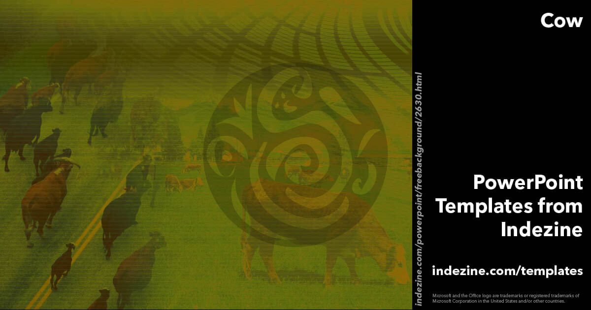 Cow 05 PowerPoint Template