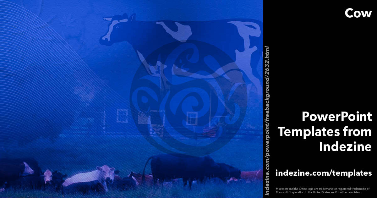 Cow 07 PowerPoint Template