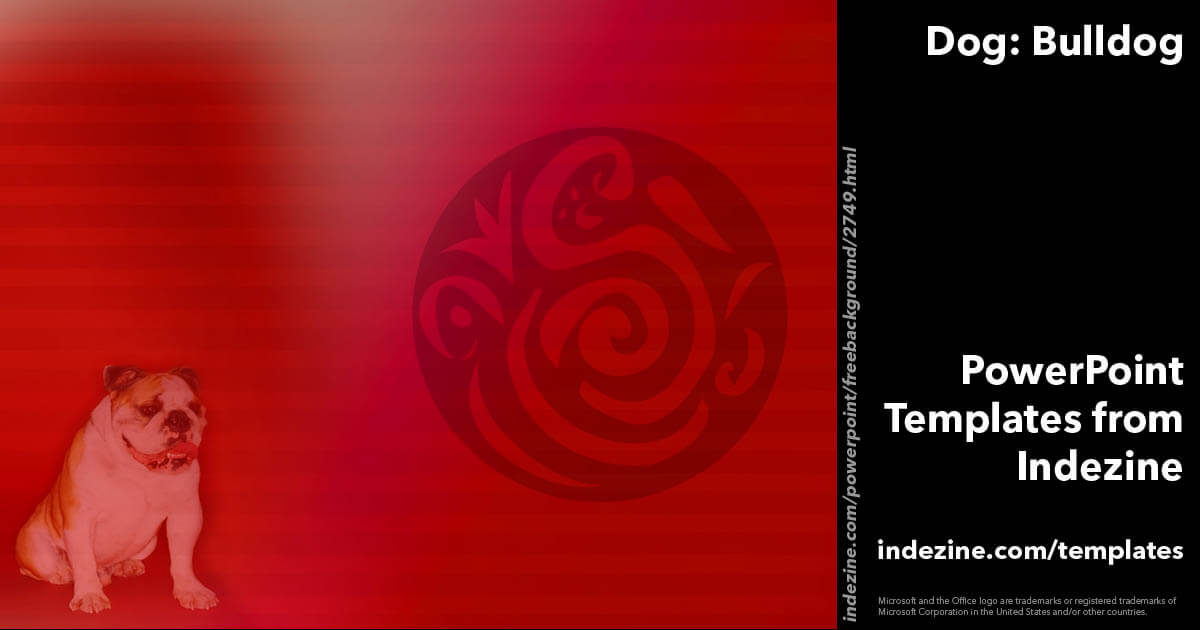 Dog: Bulldog 01 PowerPoint Template