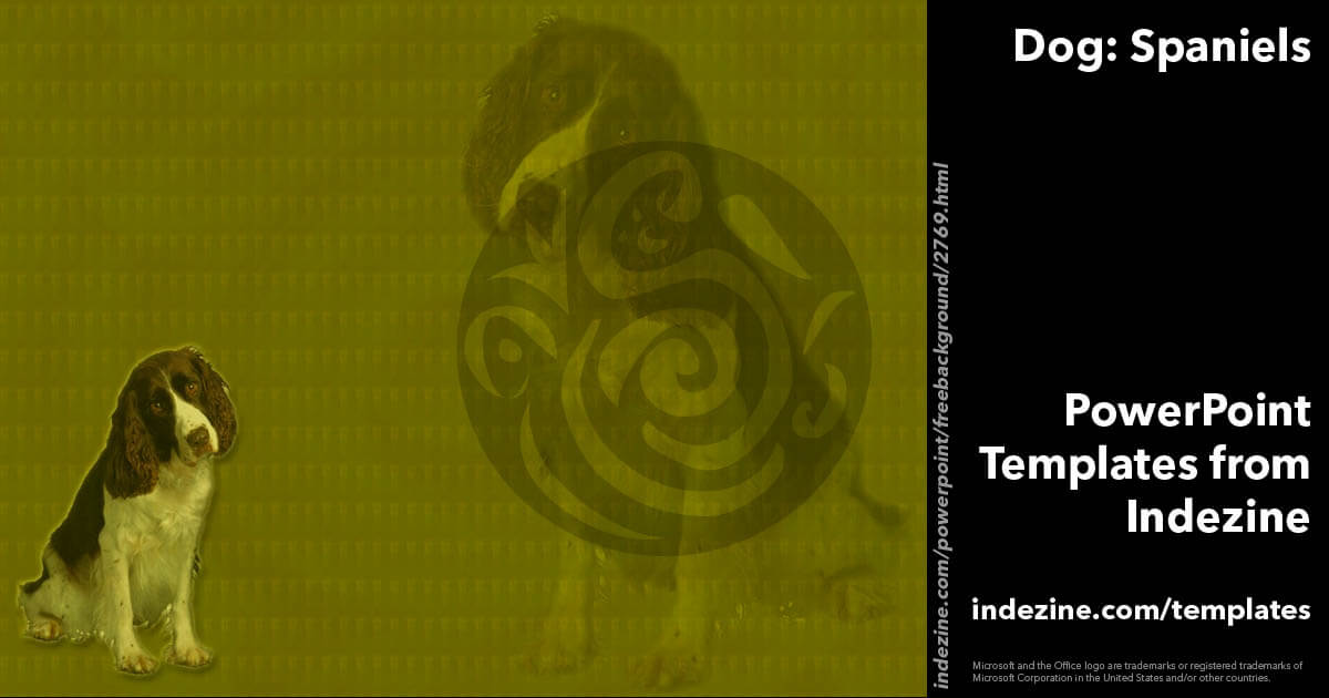 Dog: Spaniels 01 PowerPoint Template