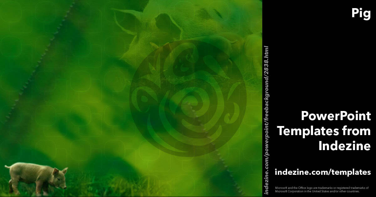 Pig 07 PowerPoint Template
