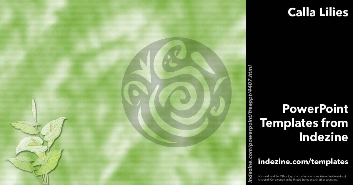 Calla Lilies 02 PowerPoint Template
