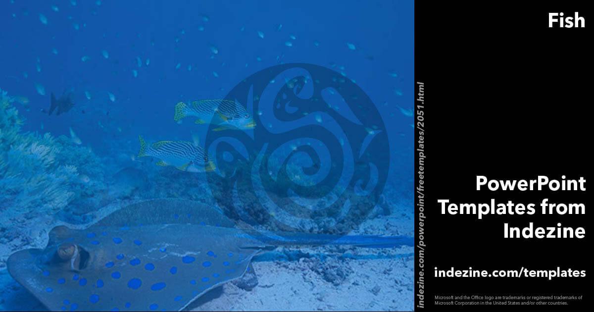 Fish 03 PowerPoint Template
