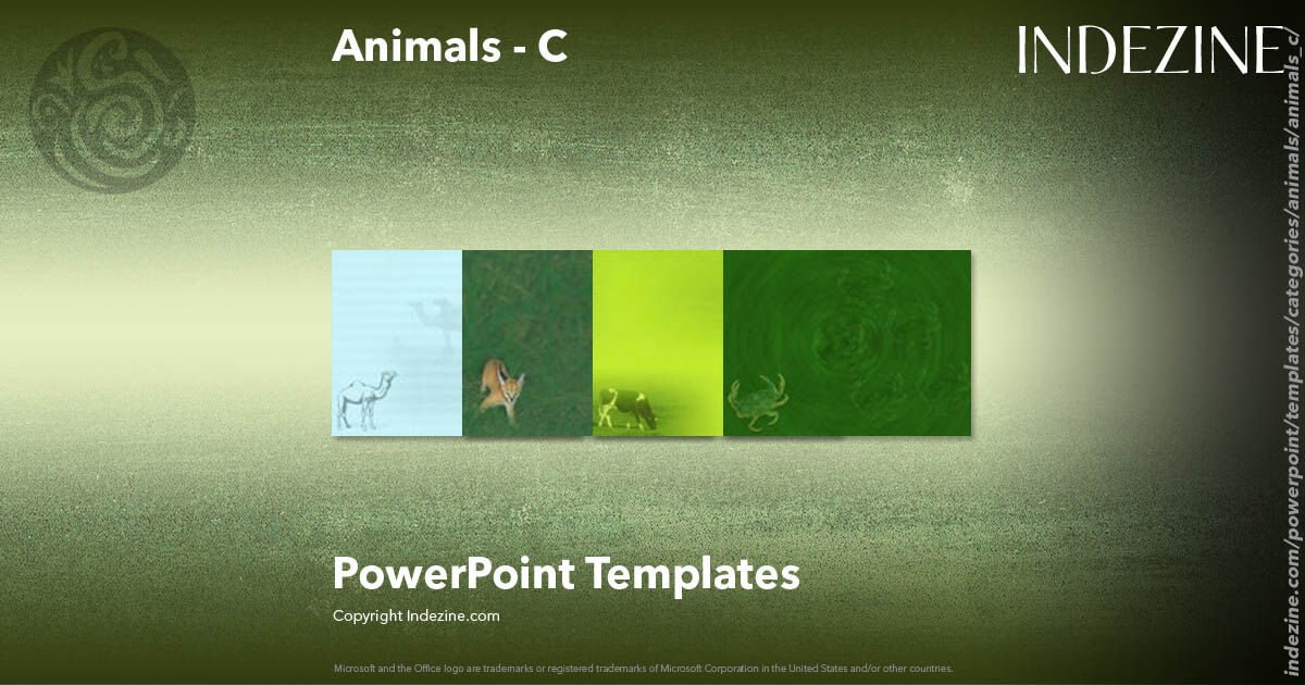 Animals - C PowerPoint Templates