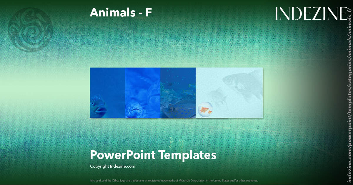 Animals - F PowerPoint Templates