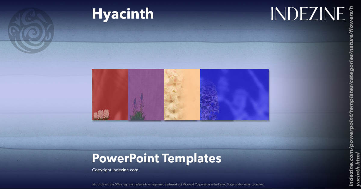 Hyacinth PowerPoint Templates