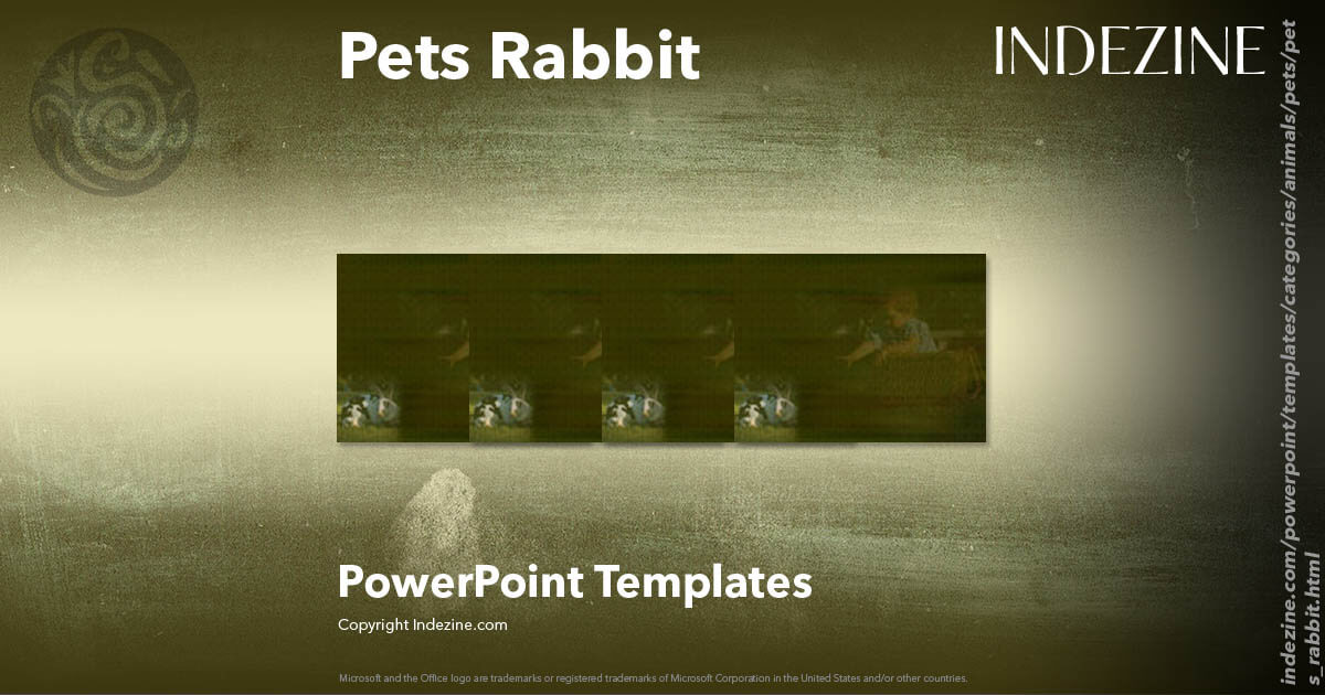 Pets Rabbit PowerPoint Templates