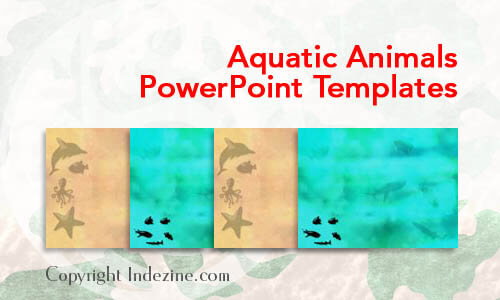 Aquatic Animals PowerPoint Templates