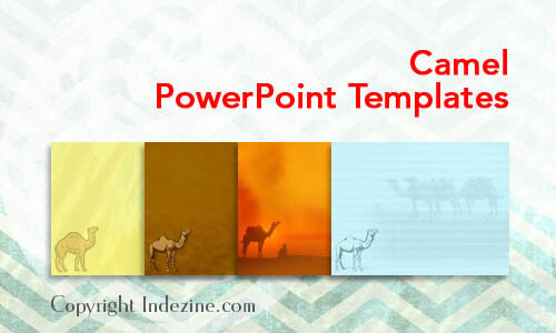 Camel PowerPoint Templates