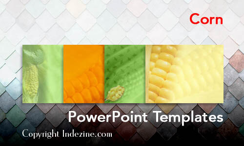 Corn PowerPoint Templates