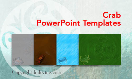 Crab PowerPoint Templates
