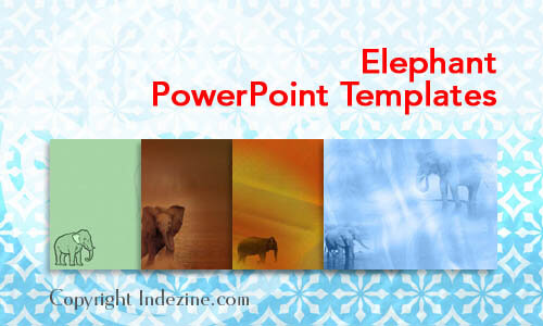 Elephant PowerPoint Templates