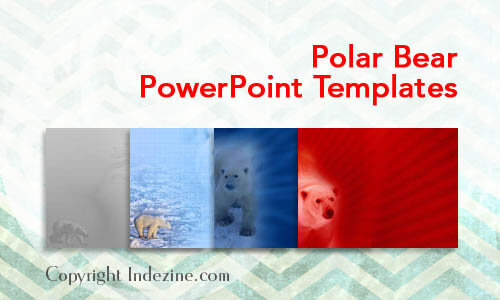Polar Bear PowerPoint Templates