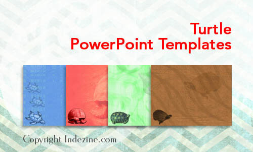 Turtle PowerPoint Templates