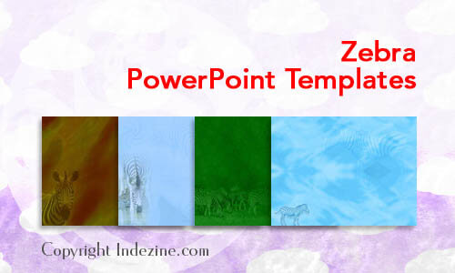 Zebra PowerPoint Templates