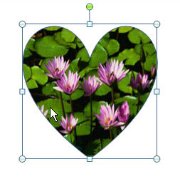 Add Picture Fills to Shapes in PowerPoint 2010 for Windows