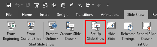 Slide Show View in PowerPoint 2019 for Windows