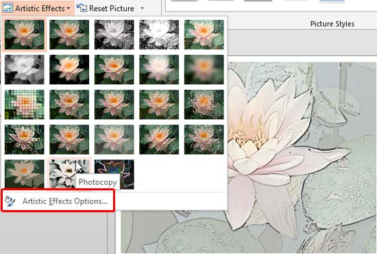 Artistic Effects for Pictures in PowerPoint 2013