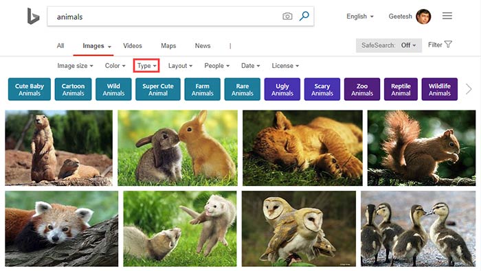 Bing Images Search by Type