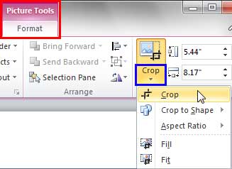 Crop Pictures in PowerPoint 2010 for Windows