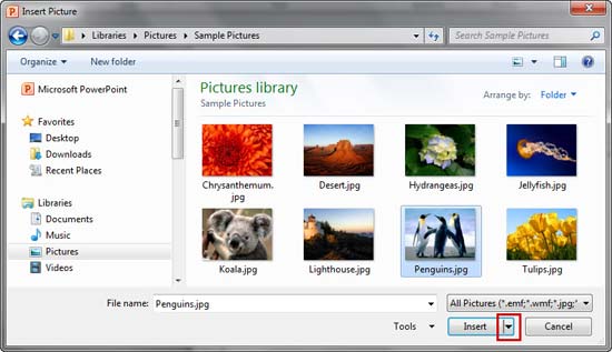 Powerpoint 2010 File Icon