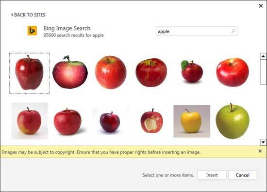 Insert Picture from Bing in PowerPoint 2013
