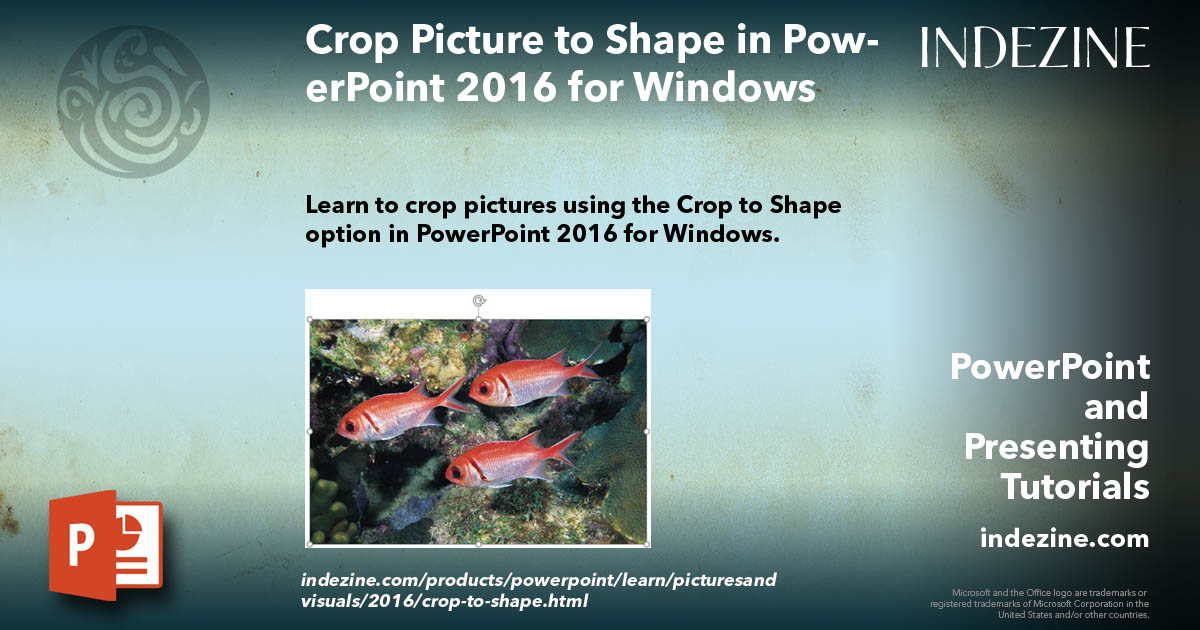 Crop Picture to Shape in PowerPoint 2016 for Windows