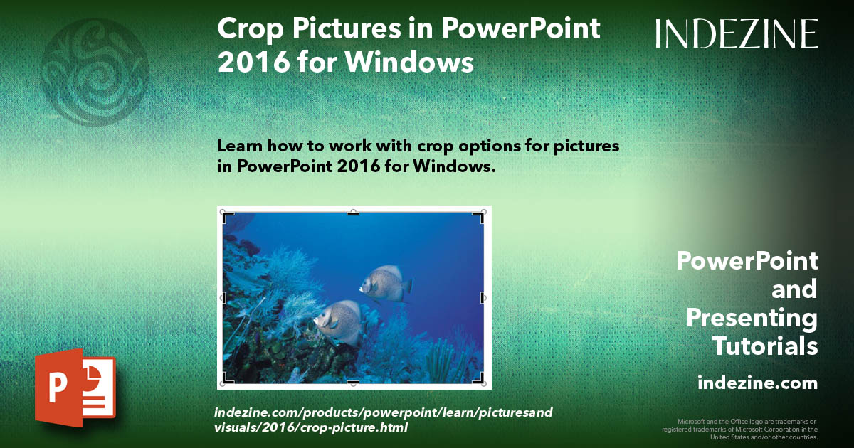 Crop Pictures in PowerPoint 2016 for Windows