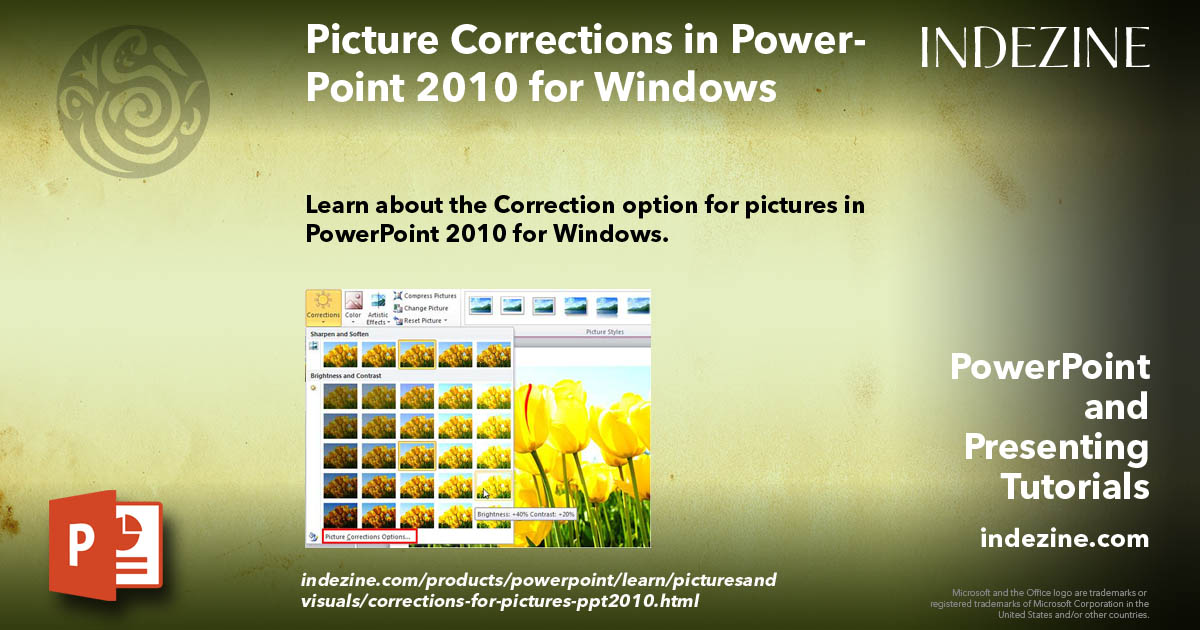 Picture Corrections in PowerPoint 2010 for Windows
