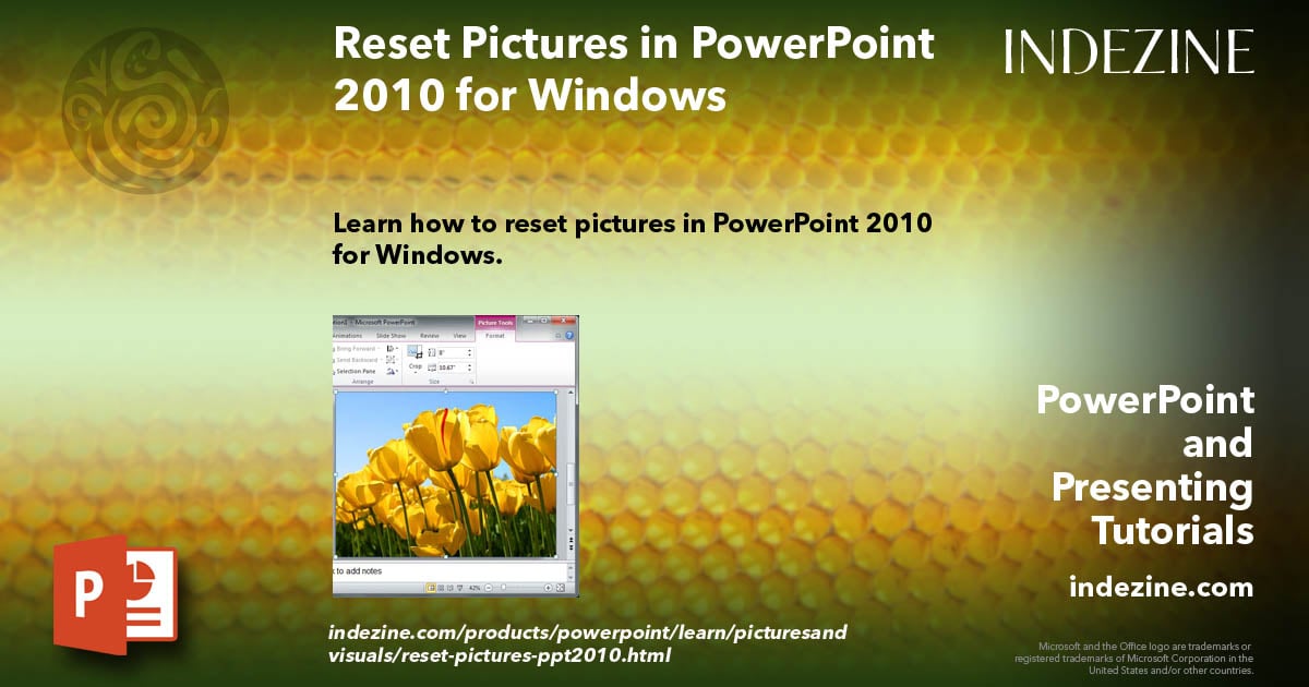 Reset Pictures in PowerPoint 2010 for Windows