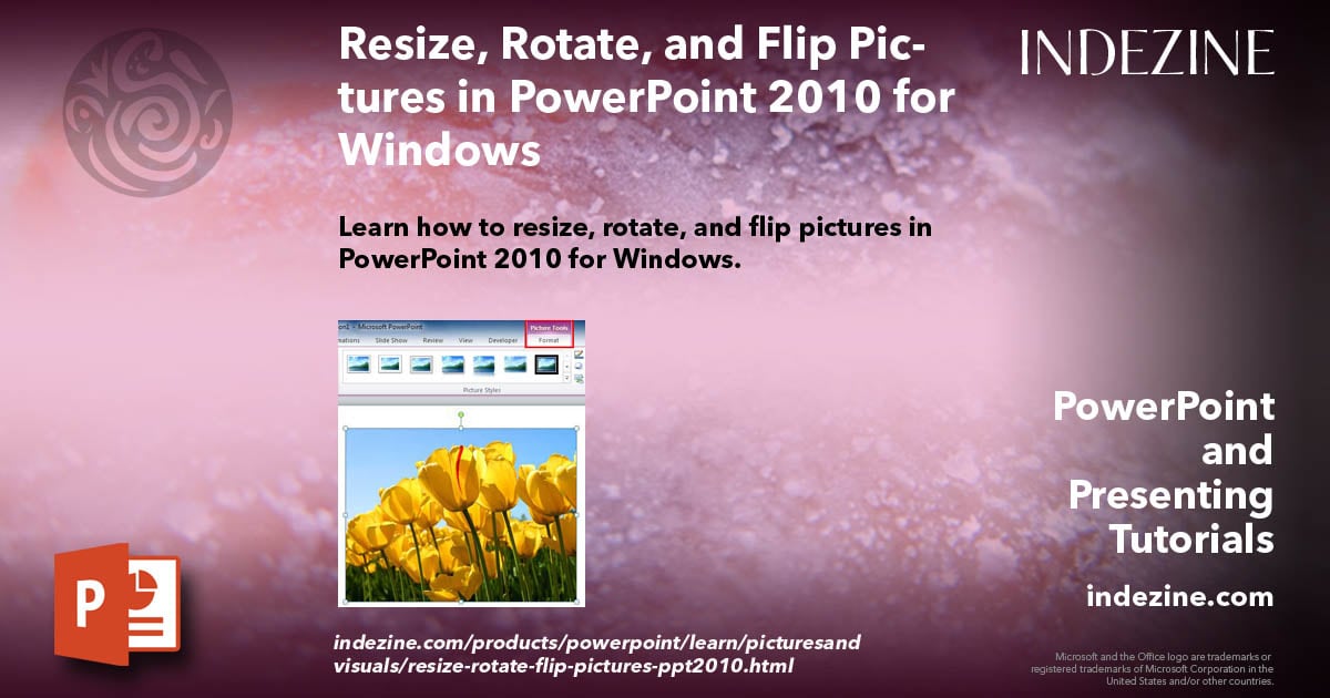 Resize, Rotate, and Flip Pictures in PowerPoint 2010 for Windows