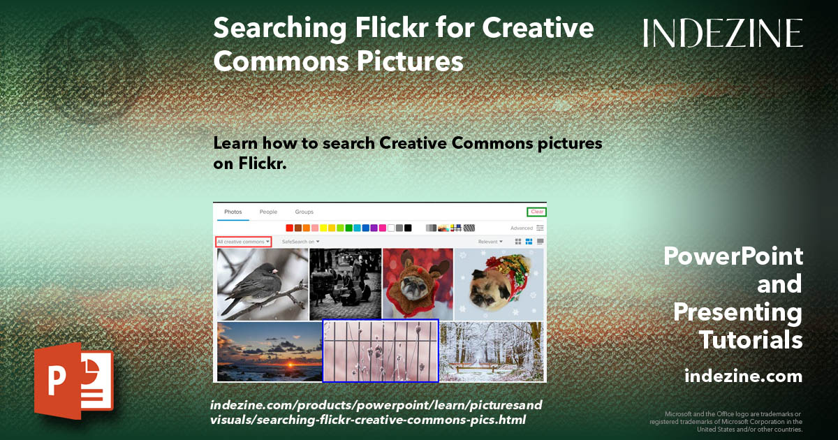 Searching Flickr for Creative Commons Pictures