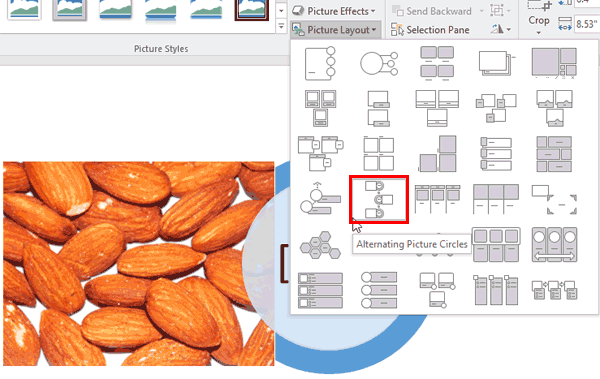 Picture Layouts in PowerPoint 2016 for Windows