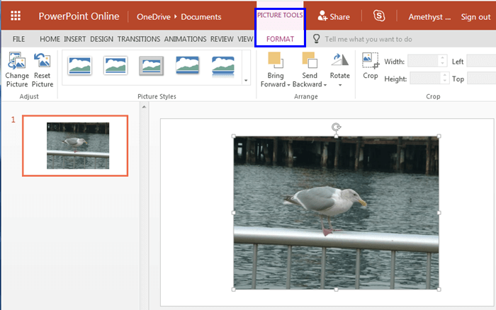 Resize Rotate And Flip Pictures In PowerPoint Online